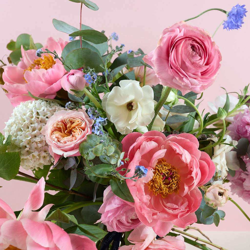 Pastel – Highgate Flowers